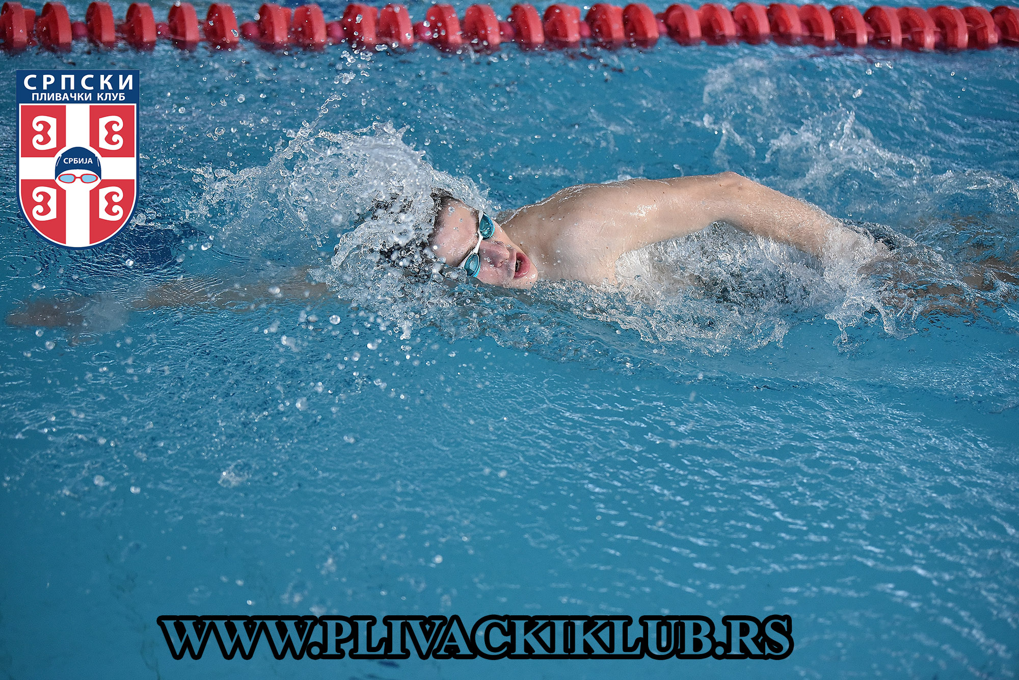 Foto galerija "Nacionalne škole plivanja" - "Srpski plivački klub ...