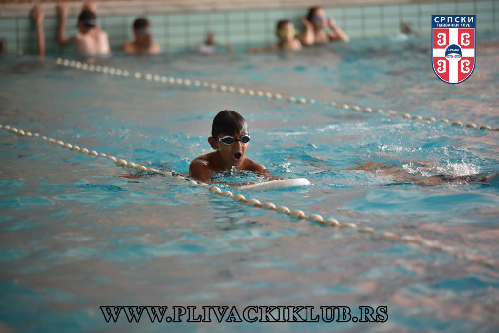 Plivanje kao sport | Srpski plivački klub
